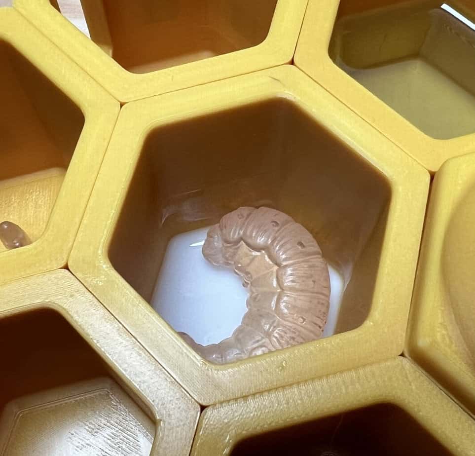 “Life in the Hive” is a Model for Bee Education! – MARYLAND STATE ...